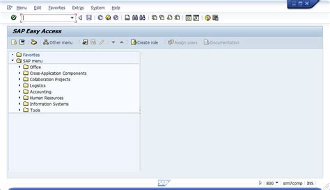 SAP Appearance Aroundsapabap