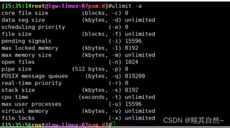 pam认证机制 csdn博客