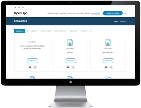 Hiper Hipo Apple Rinquest Wordpress And Php Developer