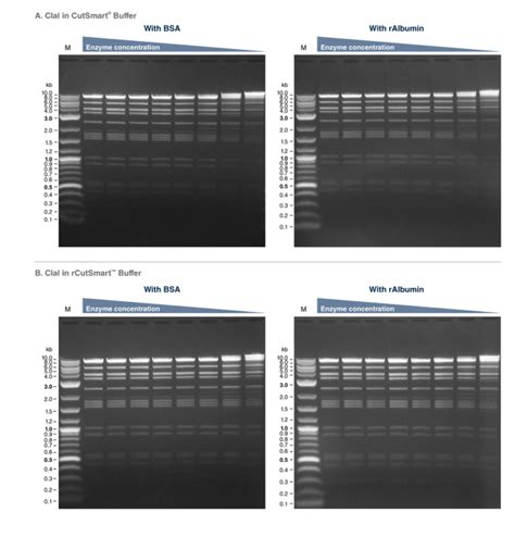 Neb Buffer System New England Biolabs France