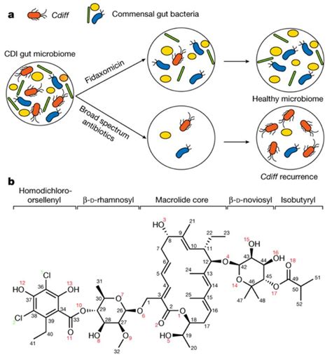 Broad Spectrum And Narrow Spectrum Antibiotics Boc Sciences