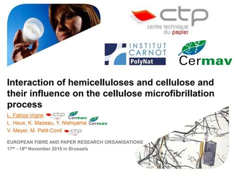Interaction Of Hemicelluloses And Cellulose And Their Influence On The