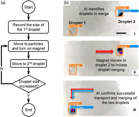 Droplet Merging With Ai‐empowered Image‐based Feedback For Real‐time Download Scientific