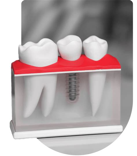 Екипът на дентална клиника Медикъл Дент Medical Dent