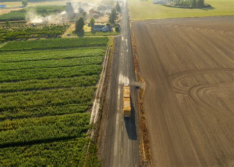 Teff Hay Hay And Straw Export Blue Mountain Hay