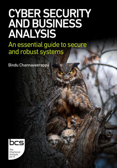 Cyber Security And Business Analysis Book