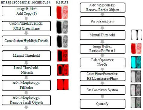 Image Processing Techniques Developed Download Scientific Diagram