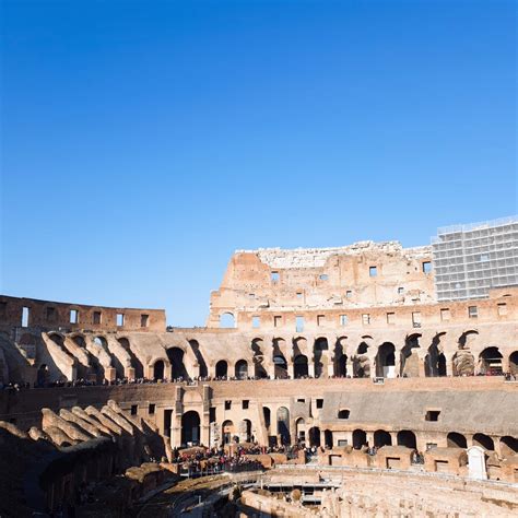 로마 콜로세움 And 포로 로마노 And 팔라티노 언덕 입장권