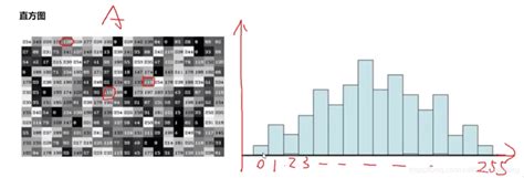 Opencv计算机视觉实战（python） 8、直方图与傅里叶变换python Opencv 直方图变换 Csdn博客