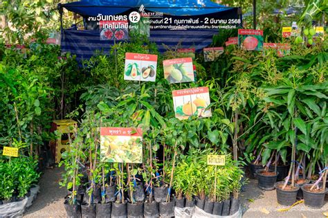 คณะเกษตร คณะเกษตรศาสตร์และเทคโนโลยี มทร อีสาน วข สุรินทร์