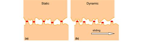 Schematic Explanation Of Solid Asperity Junctions In A Nominally Flat Download Scientific