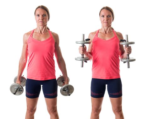 Hammer Curls 101 Gym Junkies Hammer Curls 101 Gym Junkies