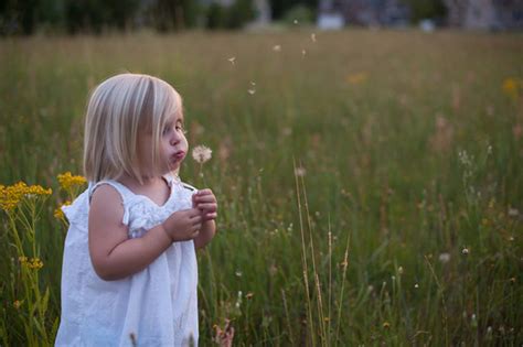 Mcp Photography And Editing Photo Challenges Highlights From This Week Photoshop Actions And