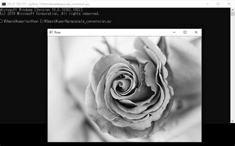 OpenCVを使用してPythonで画像のグレースケール変換を実行する Men of Lettersメンオブレターズ 論理的思考 業務改善 プログラミング