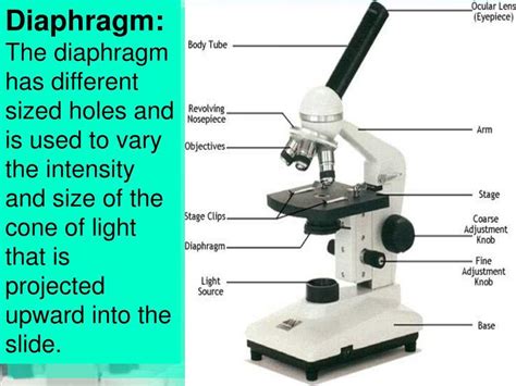 The Ultimate Guide To Understanding A Labeled Phoropter Diagram