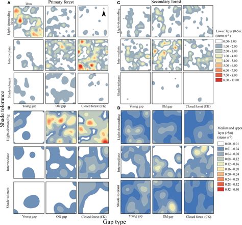frontiers spatial and temporal regeneration patterns within gaps in
