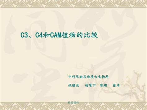 C3植物C4植物和CAM植物的比较 word文档在线阅读与下载 无忧文档