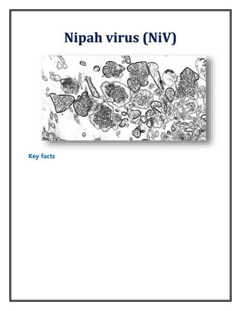 Nipah Virusdocx