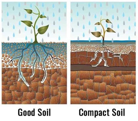 Soil Compaction Robs Farmers Of 60 Of Their Yield News And Knowhow Soil Compaction Robs Farmers Of 60 Of Their Yield News And Knowhow