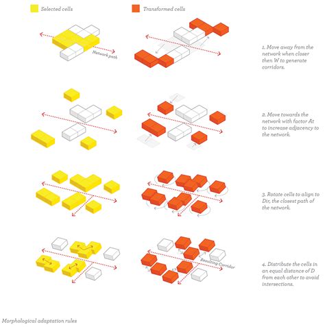 Edible Infrastructures Built Morphology Adapts To Nodes And Edgespaths