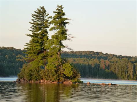 Sisters By Minamiko On Deviantart