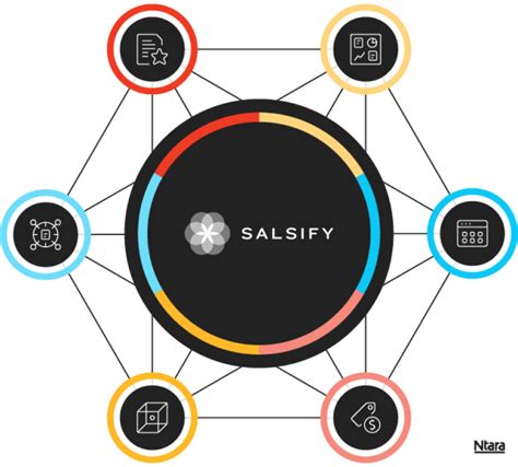 Salsify Pim Implementation Salsify Partner Ntara