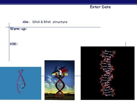 Enter Date Aim Dna Rna Structure Warmup Hw