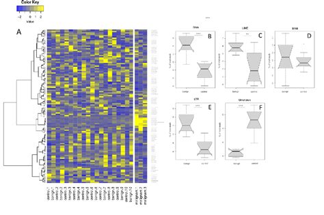 Figure 1 From Transposable Element Expression Profiles In Premalignant