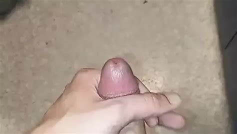 Hand Solo Eichel Streicheln Gay Amateur Porn 56 Xhamster