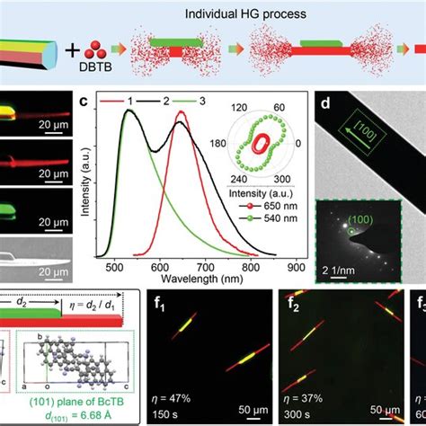 Multiple Inoutput Optical Logic Gates Based On Organic Download