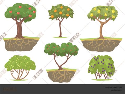 Fruit Trees Clip Art