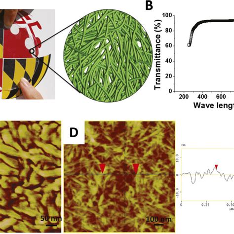 Fig S1 Atomic Structure Of A Cellulose Chain Repeat Unit Note The Download Scientific