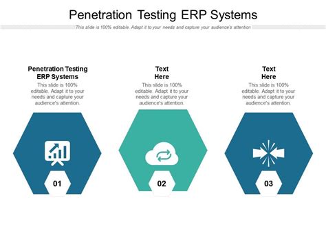 Penetration Testing Erp Systems Ppt Powerpoint Presentation Infographic Template Elements Cpb