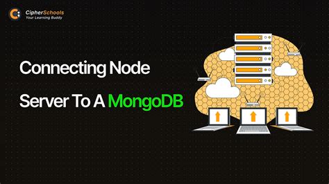 Connecting The Node Server To A Mongodb