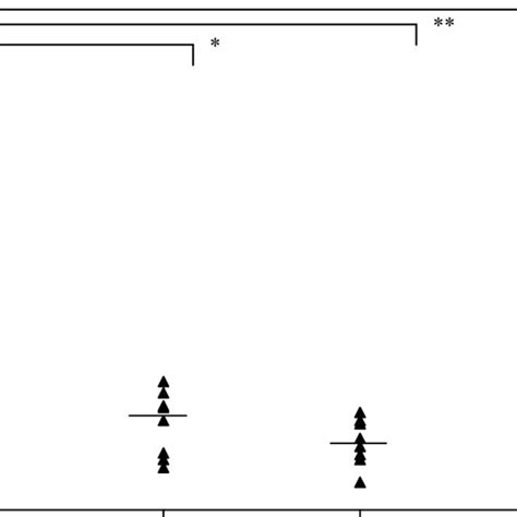 Figure E1 Results Of Ceramide Staining With The Monoclonal Antibody