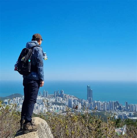 부산 장산 등산코스 멋진 해운대 도심과 해안 절경 개방된 정상까지 최단코스 산행 네이버 블로그