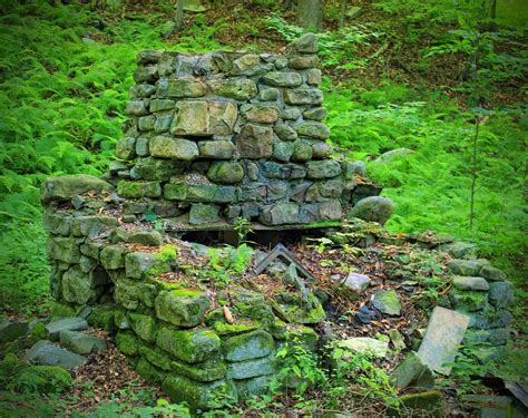 무료 이미지 나무 록 하이킹 잎 꽃 돌 여름 이끼 못 흐름 녹색 밀림 가을 버려진 식물학 정원 크리에이티브 커먼즈 유적 초목 열대 우림