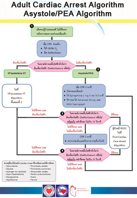 Update Thaicpr Free Medical Book Thailand Fmbt