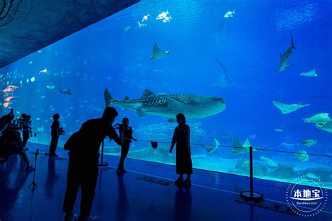 珠海长隆海洋王国图片浏览 珠海长隆海洋王国图片下载 酷吧图库
