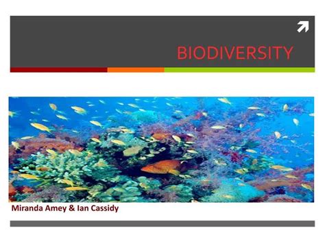 PPT BIODIVERSITY PowerPoint Presentation Free Download ID