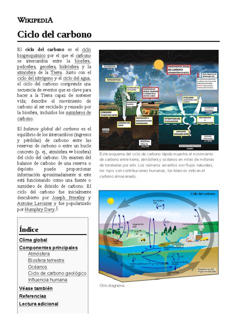 Ciclo Del Carbono Biologia Este Esquema Del Ciclo De Carbono Rápido