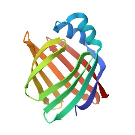 Rcsb Pdb 1ifb Refined Apoprotein Structure Of Rat Intestinal Fatty