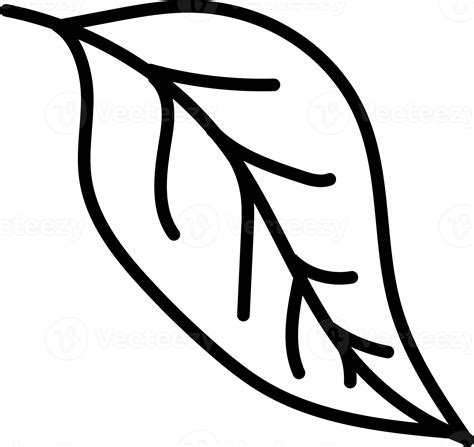 Natural Line Art Design Element With Black Thin Line Png With