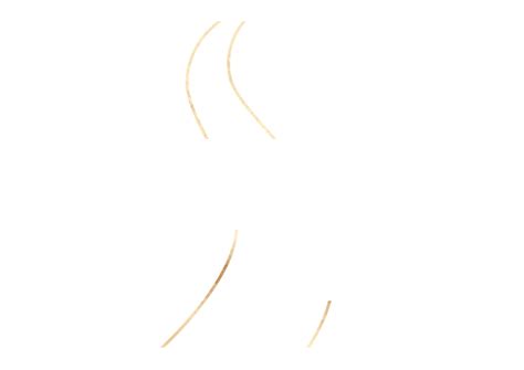 Capacity Path Elaira Flow