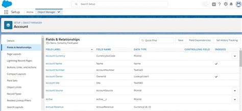 Object Management Setting In Salesforce Lightning Xenler Consulting