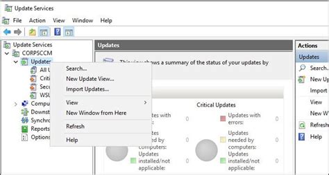 Fix Wsus Update Catalog Add Button Missing