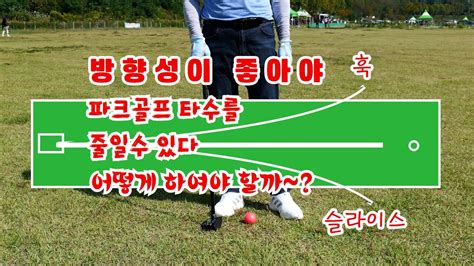파크골프 타수줄이기는 방향성이 중요한데 무엇이 문제인지 알아보고 어떻게 하여야 파크볼을 똑 바로 보낼수 있는지를 알아보고 타수를 줄여서 파크골프 대회에도 나갈준비를 하여