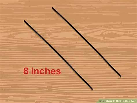 How To Build A Box Trap Steps With Pictures WikiHow