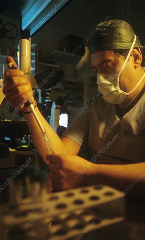 Sperm Extraction Stock Image M802 0254 Science Photo Library