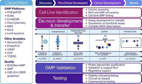 Enhance Drug Efficacy With Cell Based Assays Pharmaron